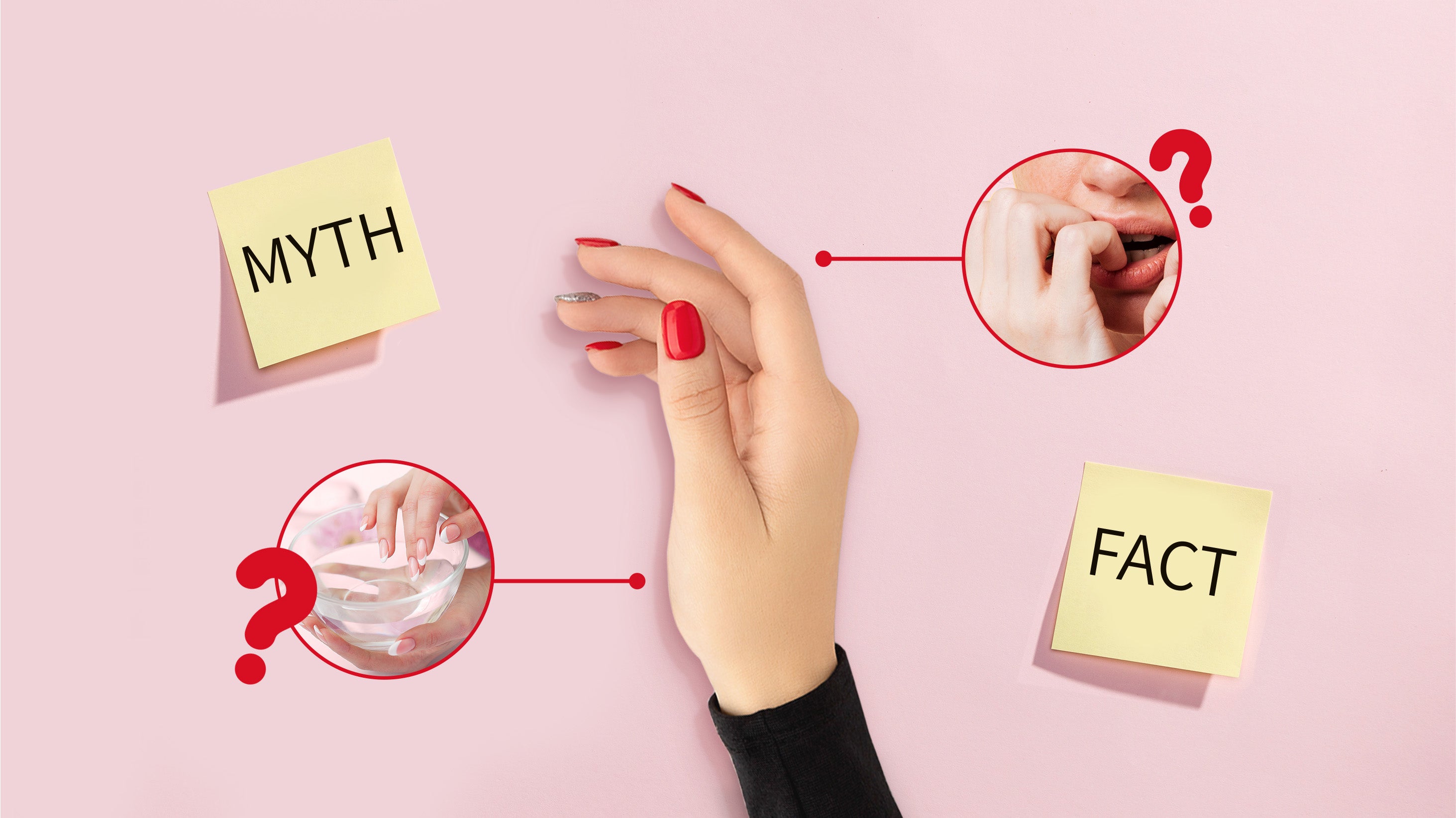 Nail Myth Or Fact: 10 Shocking Things Every Nail Tech Should Know ...